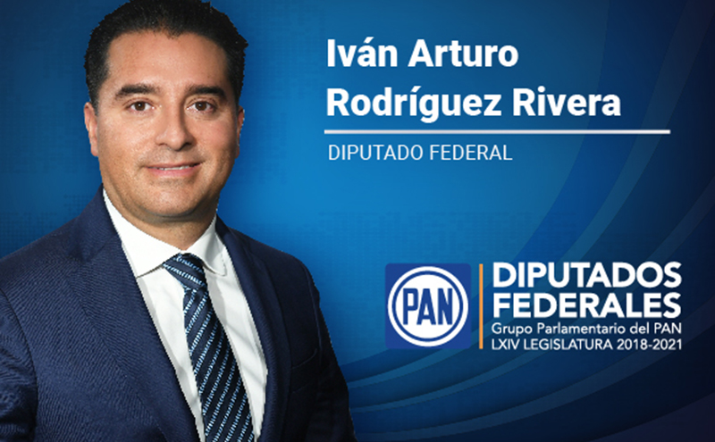 Propone diputado Iván Rodríguez expulsar a John Ackerman del INE y de ...